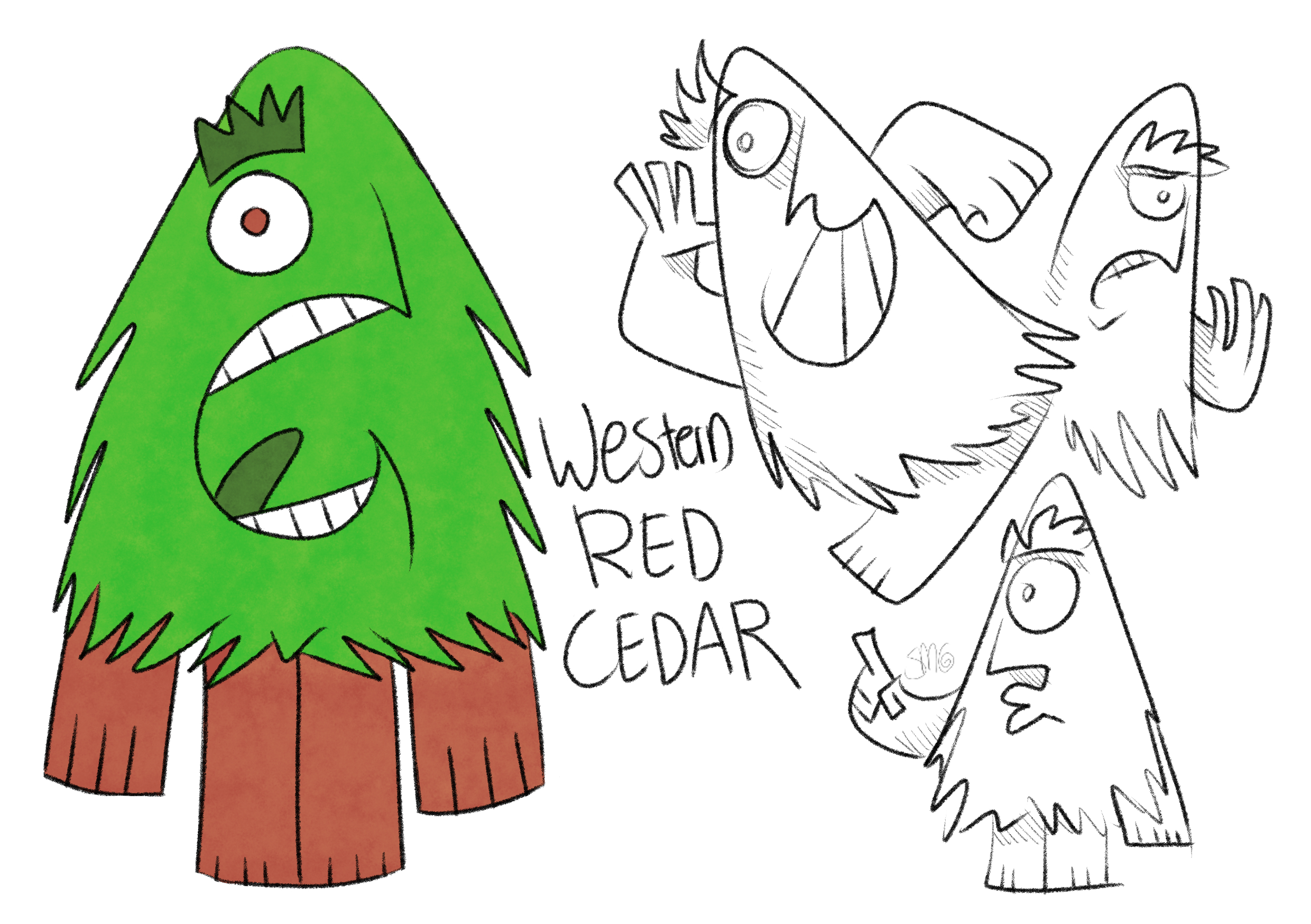 "Tree Ent Trail" launch on Sunday 16th October - Historic Dunkeld